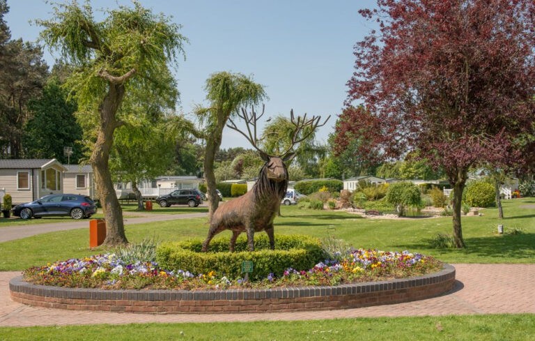 Introducing Don Amott Parks